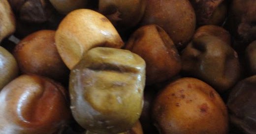 MOÇAMBIQUE: Maphílua, o saboroso fruto que vem do Sul