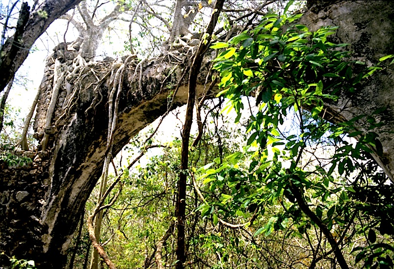 colonialmexico: Lost Missions of Yucatan - Xlacah/Temul