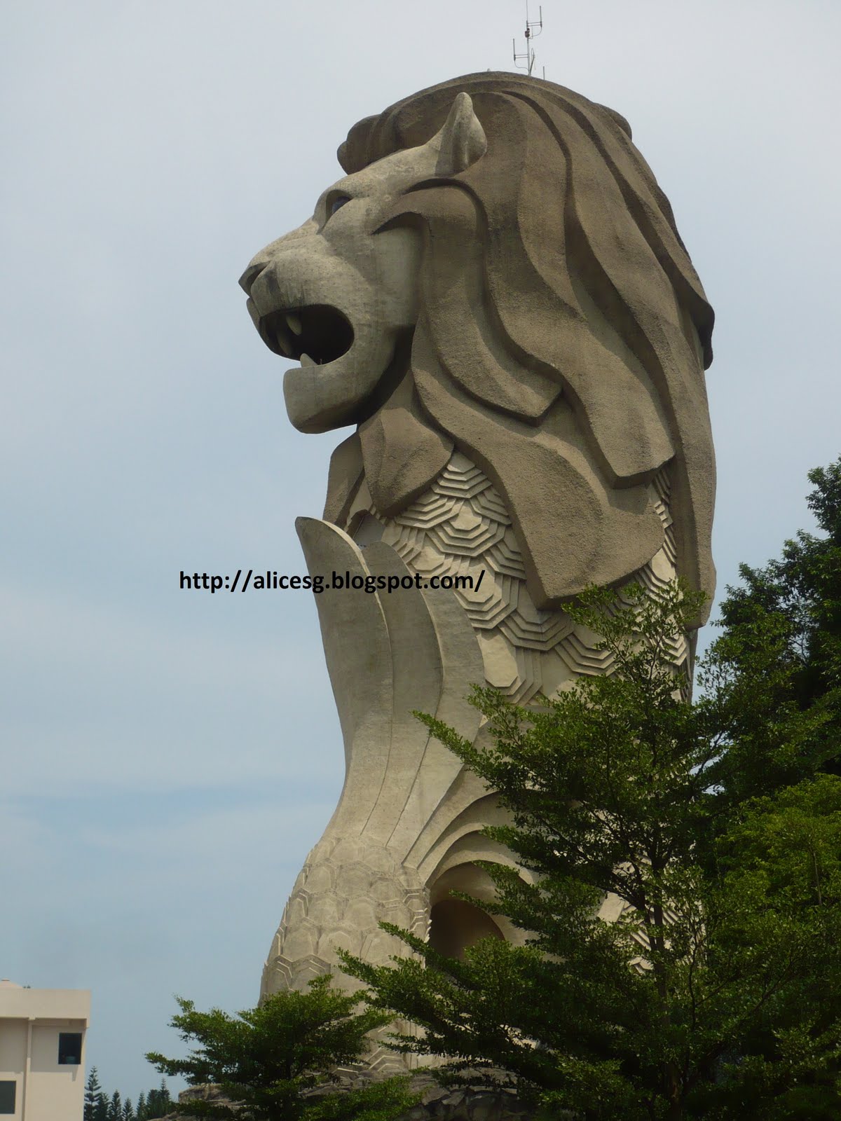 Alicesg-Singaporemyhome: Sentosa - Merlion
