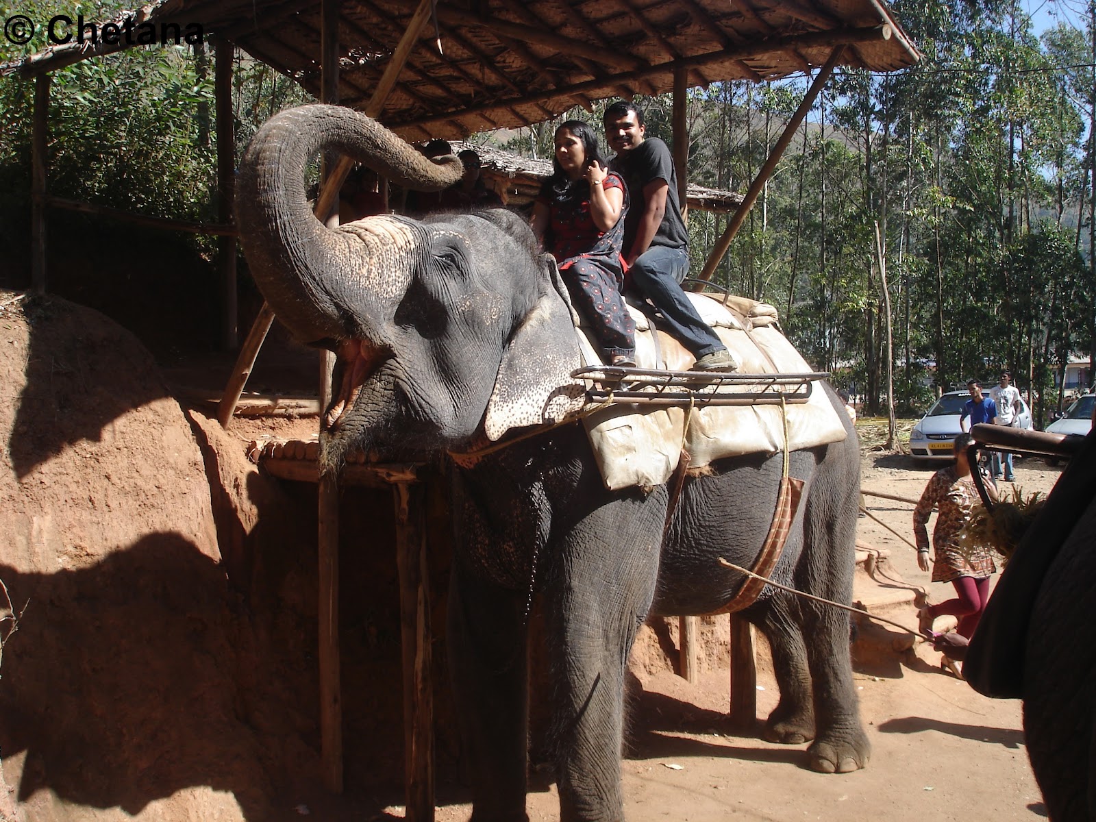 Prayanika - The Journey *******: Munnar : Elephant Safari and The ...