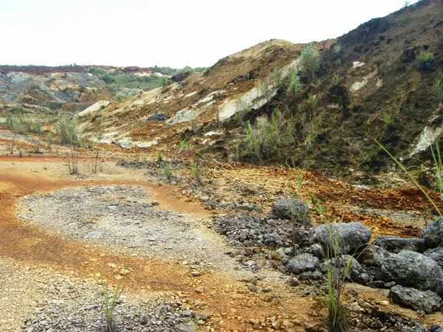 Soil and Environment: The impacts of mining in the Philippines