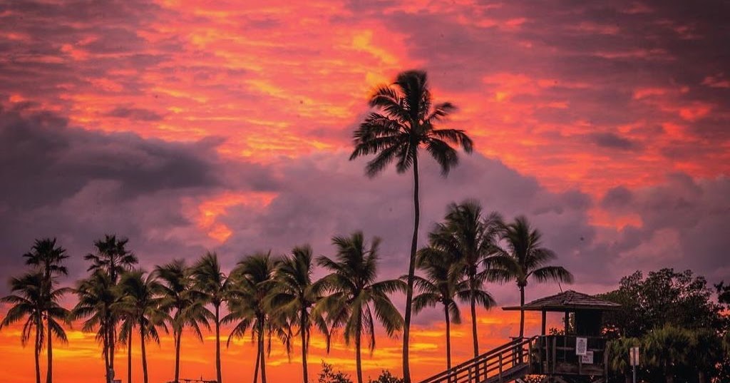 Exuberance is Beauty: an introduction.