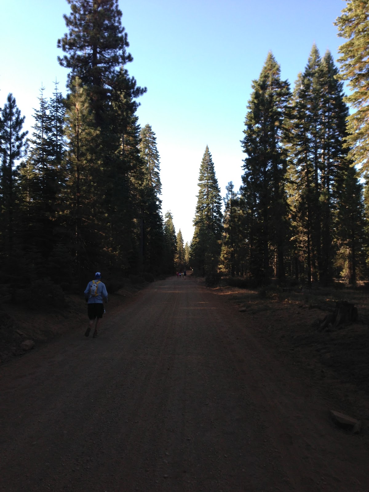 Wanderplace: Race Report: 2012 Bizz Johnson 50K