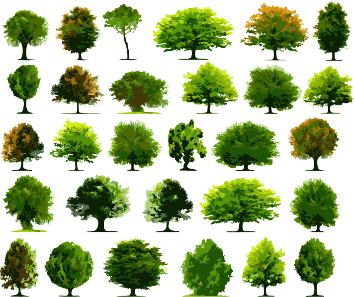 อันดับหนึ่ง 97+ ภาพพื้นหลัง โครงสร้าง ต้นไม้ Tree Structure ครบถ้วน