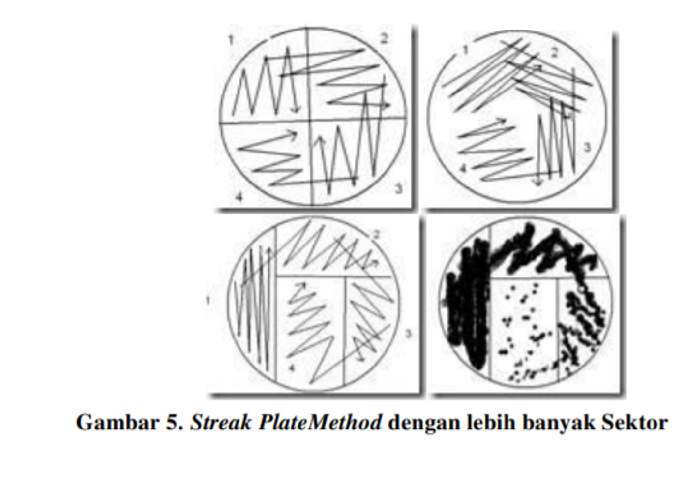 Dasar - Dasar Teknik Mikrobiologi