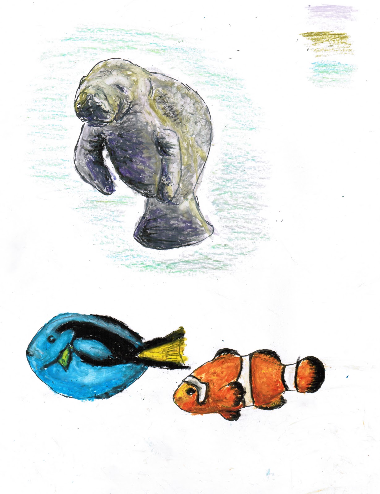 Chuck Does Art: Oil Pastels: Sea Creatures