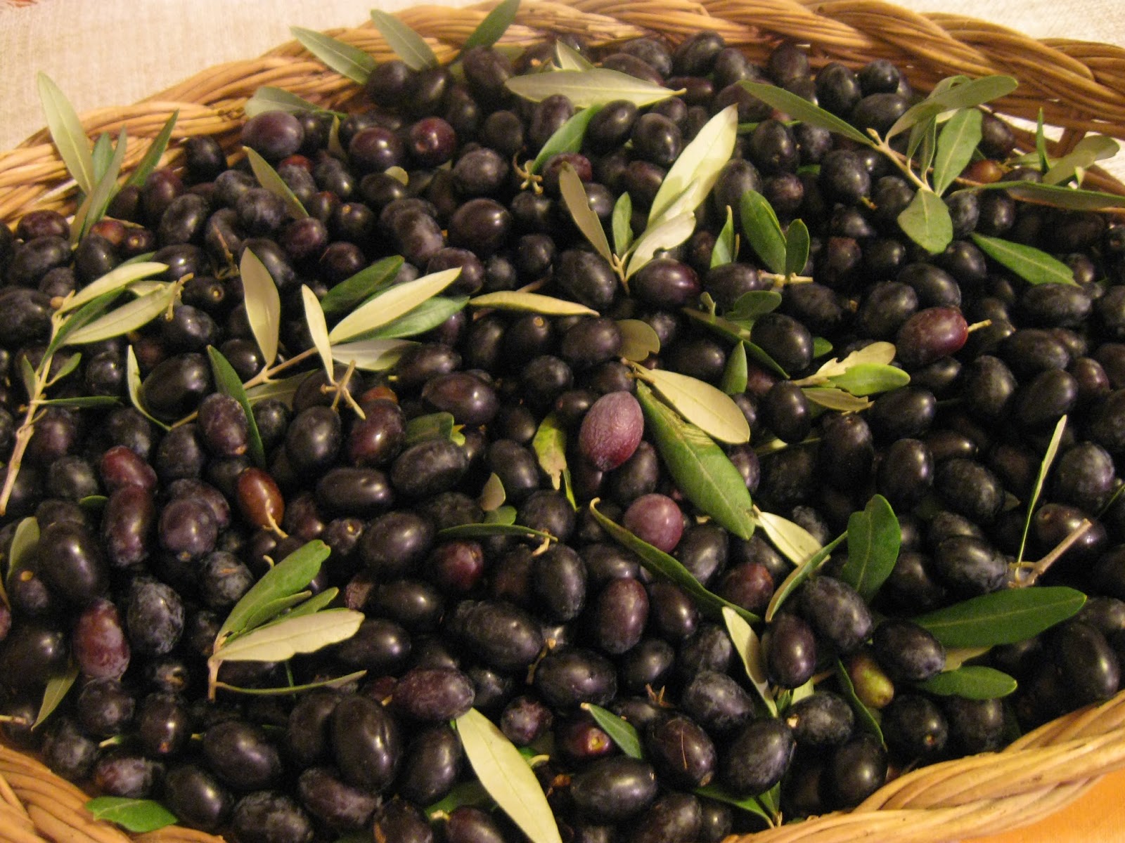 LA GRANJA DI ADRIANA: olive nere in salamoia