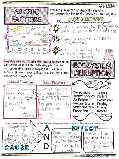 NGSS Doodle Note Glossary for Middle School - Captivate Science