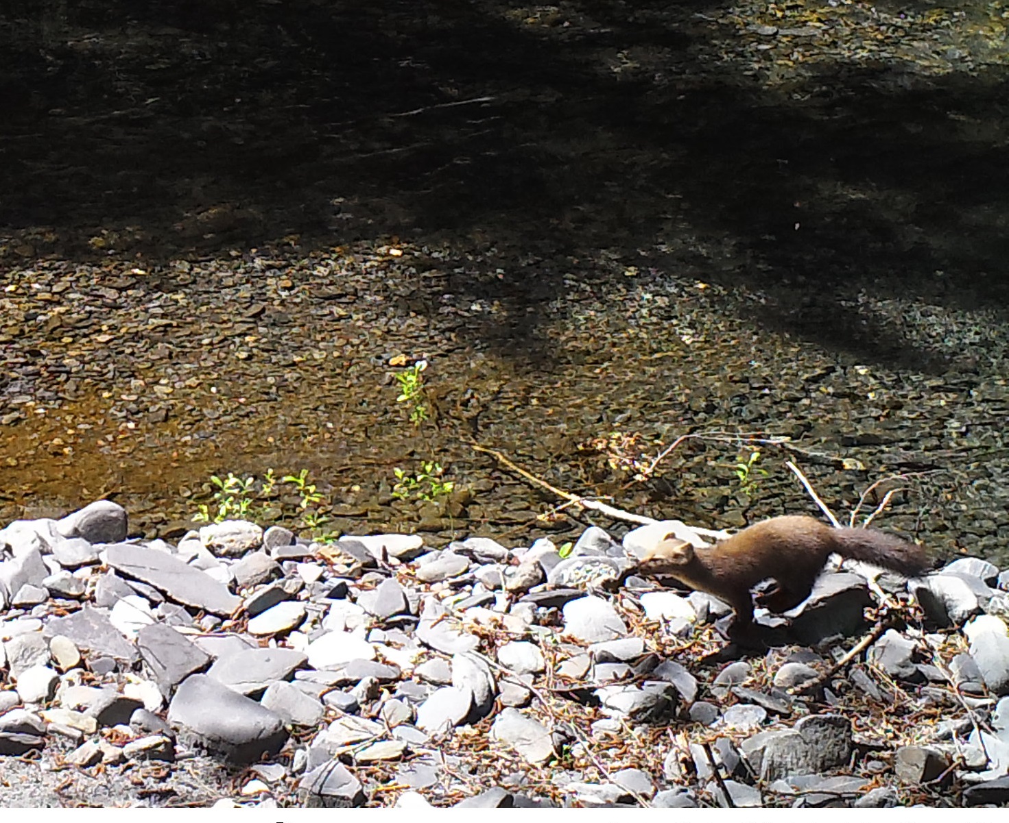 Bluff Creek Project: Press photos