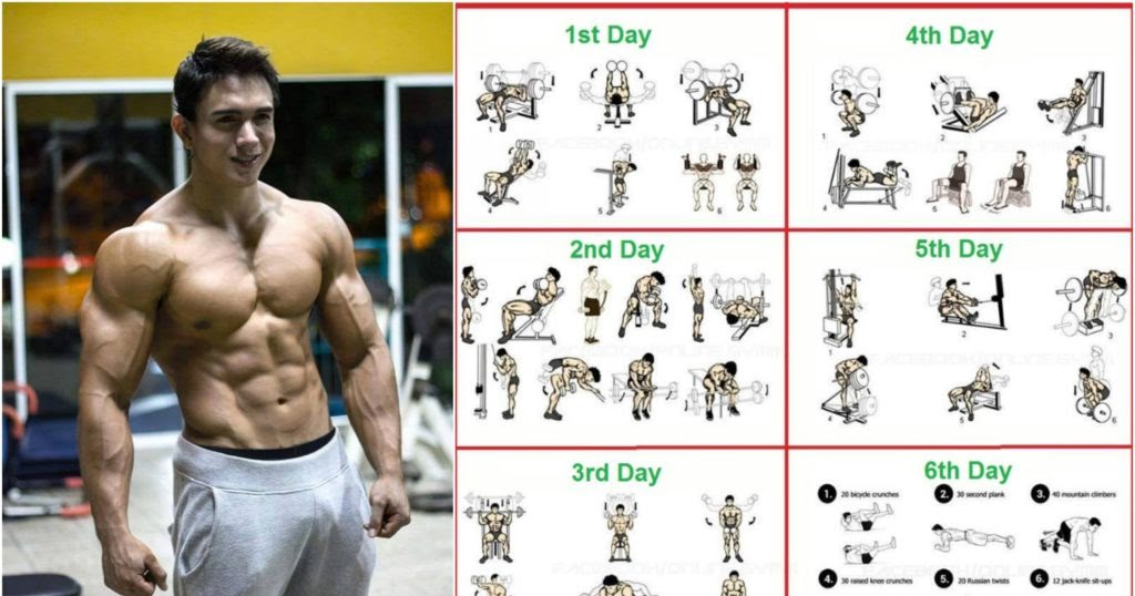 8 Weeks Workout Program For Beginners - Bodydulding 8 Weeks Workout Program For Beginners - Bodydulding