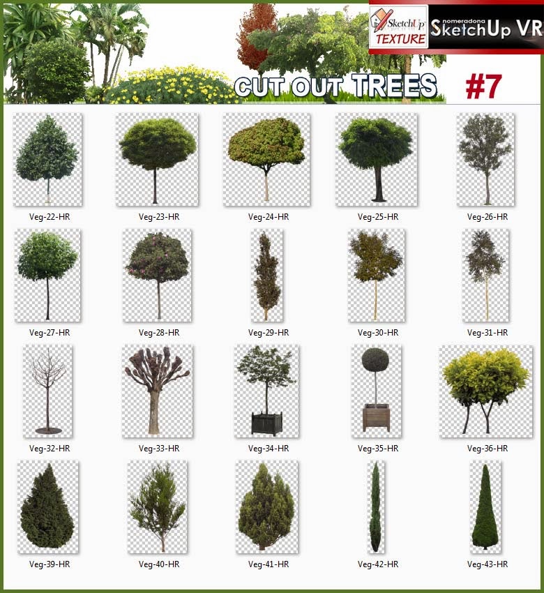 SKETCHUP TEXTURE: CUT OUT TREES