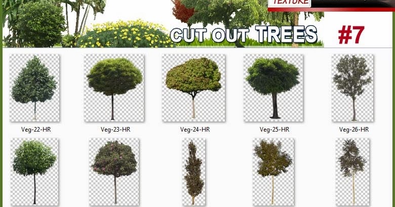 SKETCHUP TEXTURE: 2D CUT OUT TREES HIG RESOLUTION #7