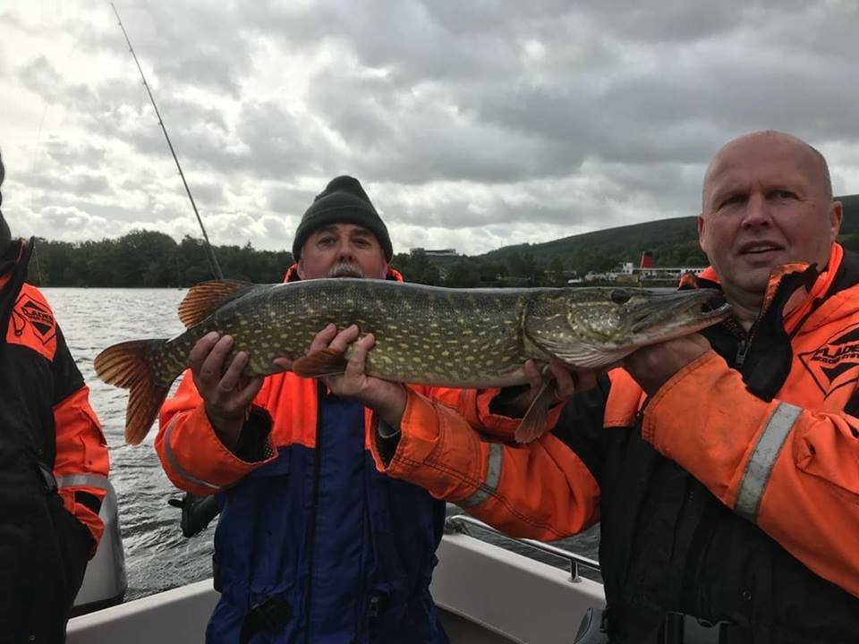 Scottish Fishing Guide: Guided Pike Fishing On Loch Lomond