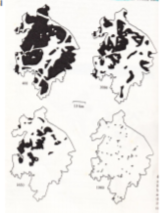 Destruksi, Fragmentasi, dan Degredasi Habitat