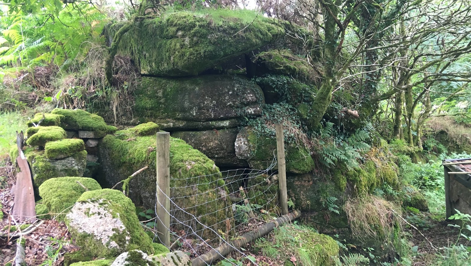 Max Piper - Tor Bagger: Dartmoor: The Two Lesser-Known Tors at Badgers Holt