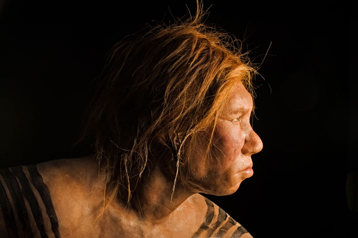 The Subversive Archaeologist: National Geographic Calls Neanderthals ...