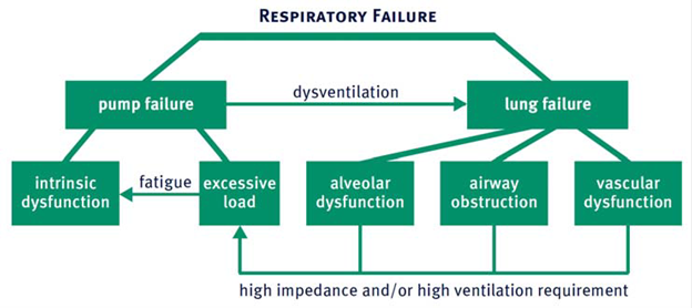Nursing: INTRODUCTION TO MECHANICAL VENTILATOR