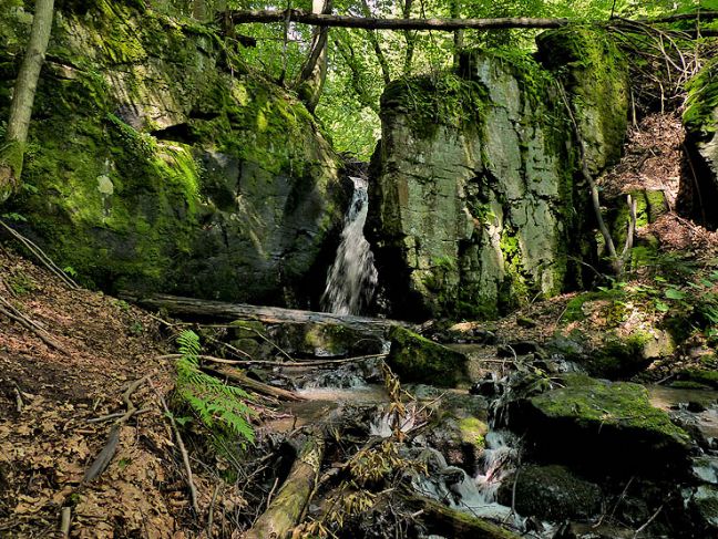 Klub slovenských turistov Elán Banská Bystrica: Info: Badínsky prales ...