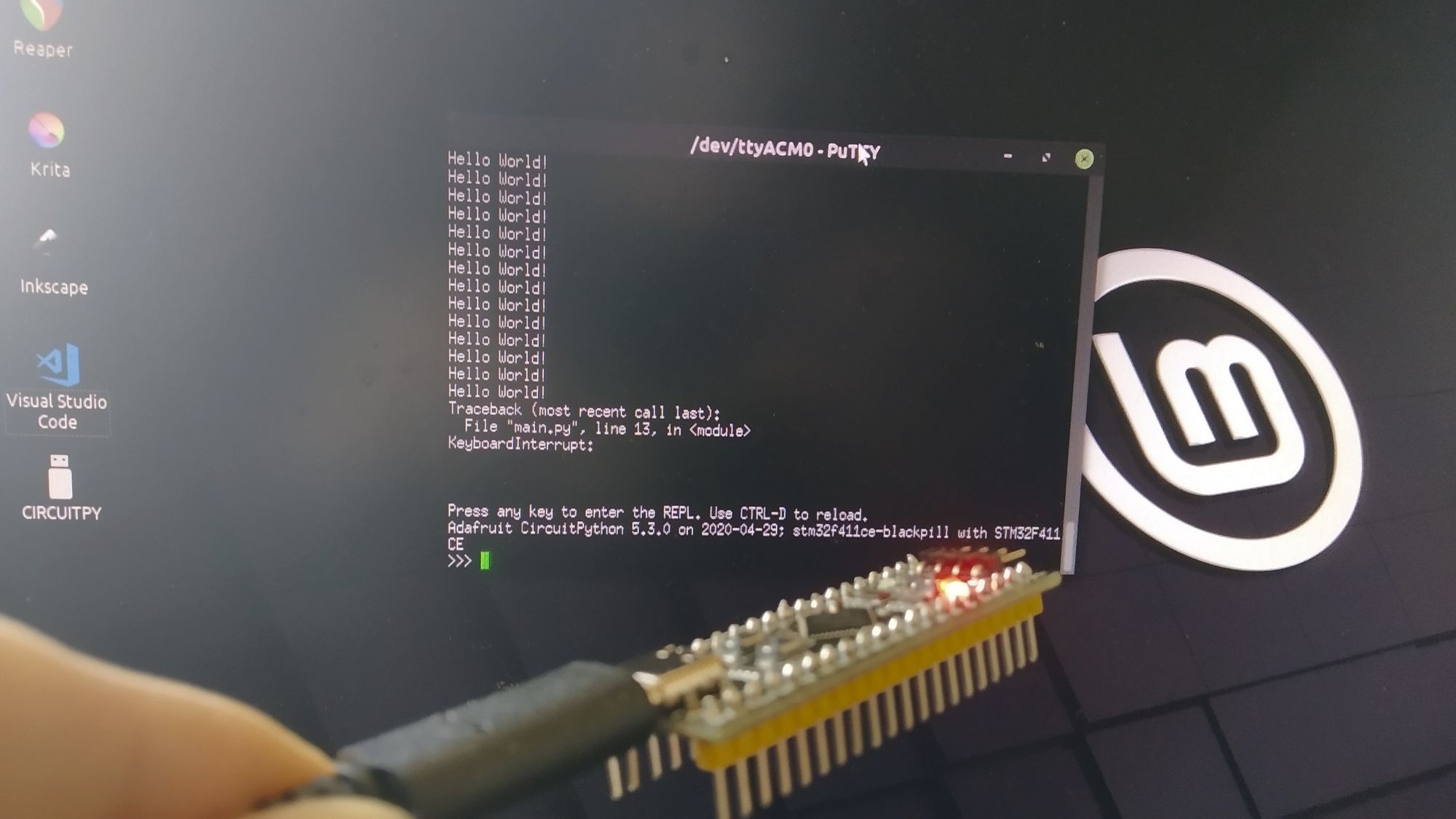 CircuitPython na Black Pill - łatwe programowanie tanich mikrokontrolerów