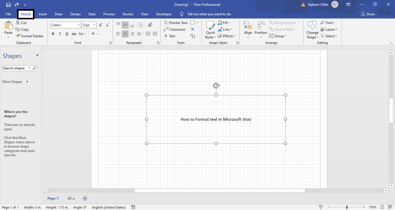 How to format text in Microsoft Visio