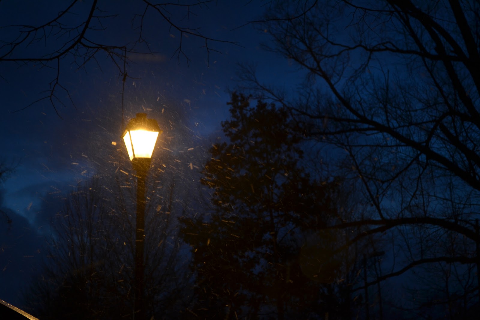 Teenage Girls Scare Me...and a few other tidbits about my life