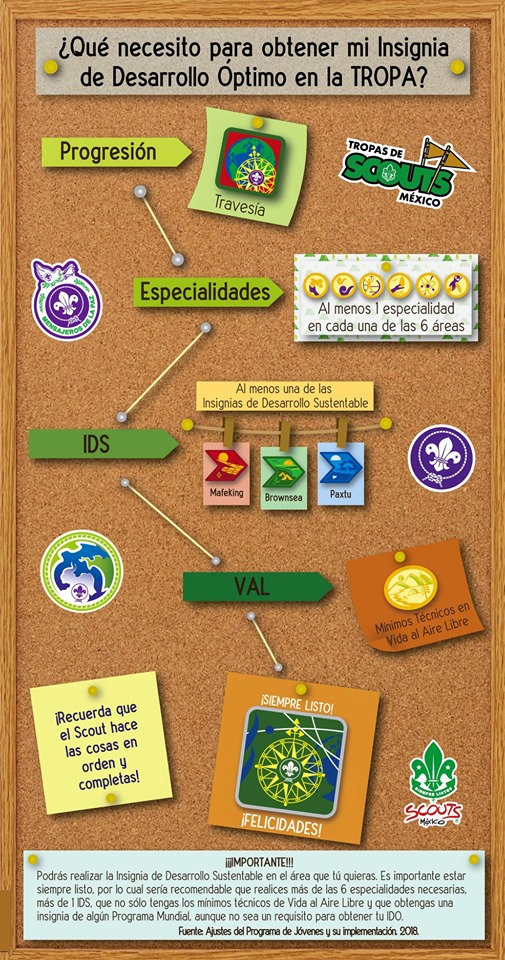 Progresión Tropa Scout 2020-2021