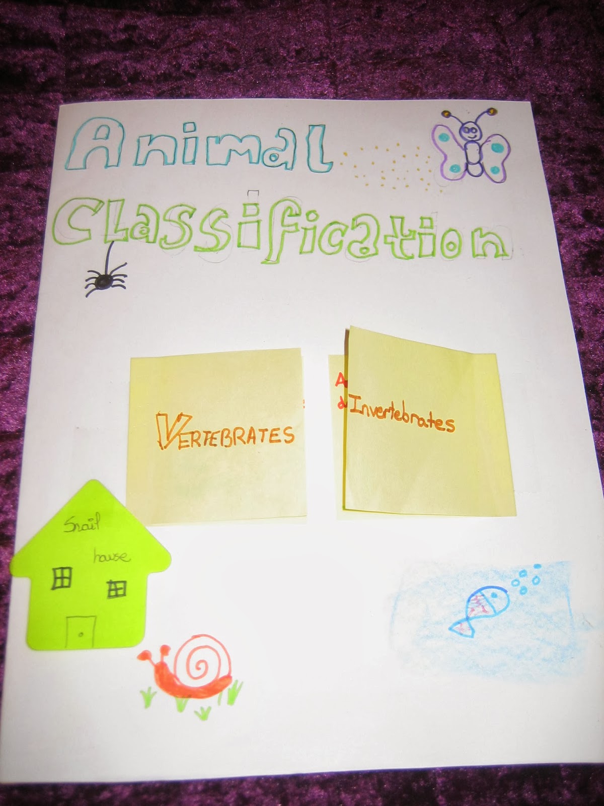 EASY SCIENCE: noviembre 2013