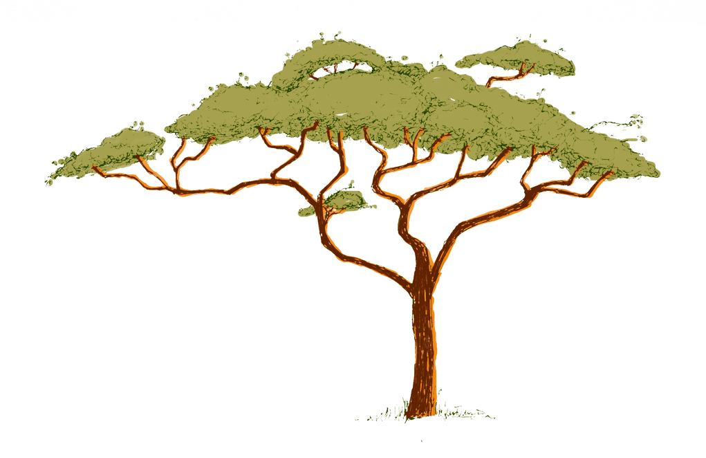 Acacia Tree | A Knavish Doodle