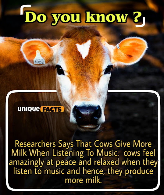 25+ interesting facts images || That's truly blow up your mind ...