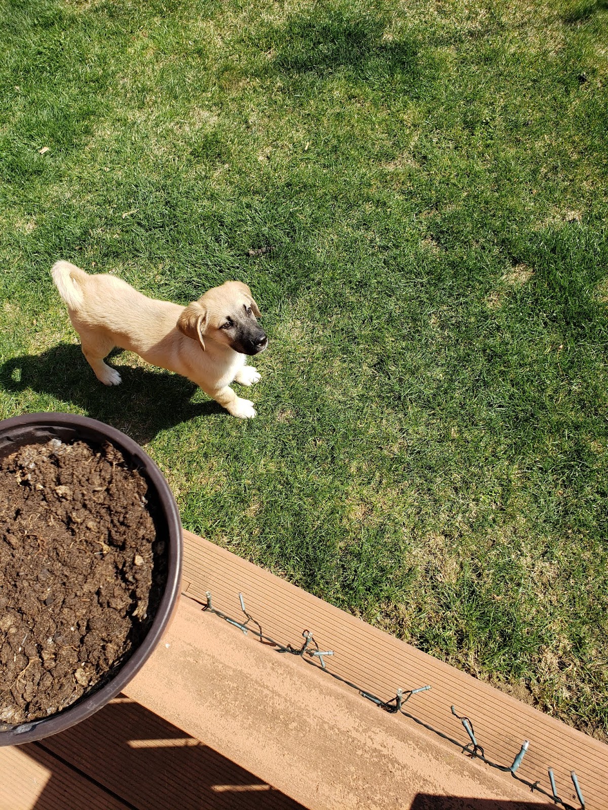 Committed Stitcher: Grayson Outdoors