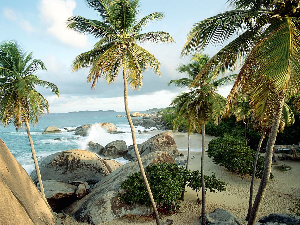 clip art and picture: free download amazing pictures