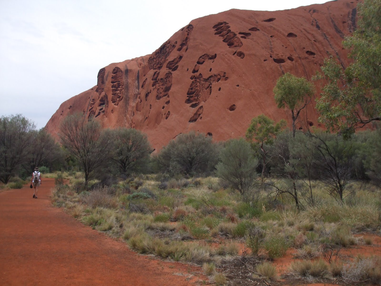 Mrs Lockwood's Blog: Australia Week 3 Alice Springs and Uluru