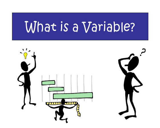 Study Points: What is a variable and State its kinds and forms