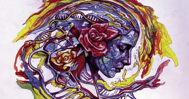 Doctoras con ALAS / Viajando de la mano