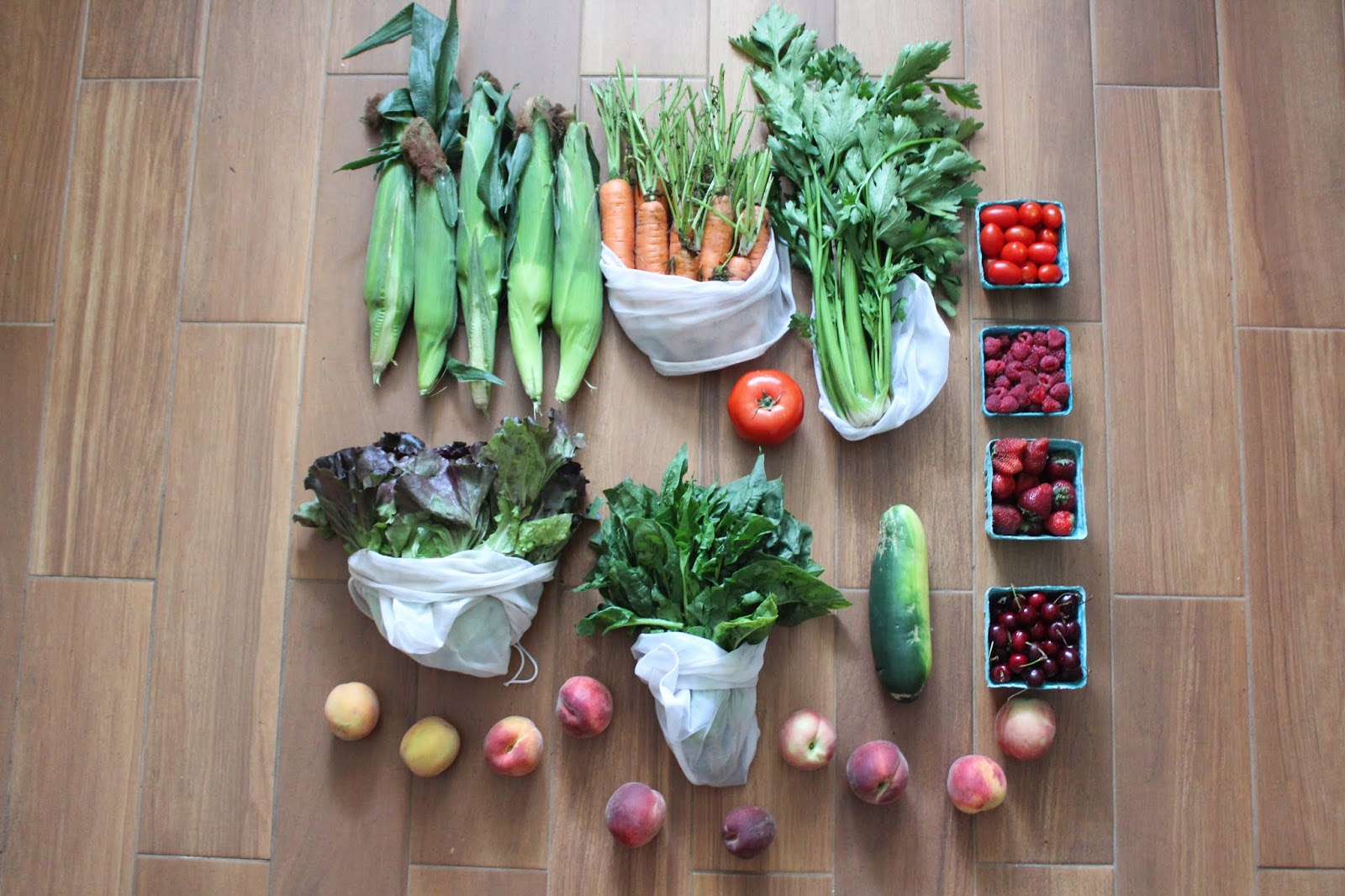 5 Zero Waste Summer Activities to Do This Season - Greenify Me