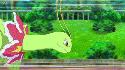 Poké-Arquivo: 154 - Meganium ↳ Animes ~ PMD || Acervo de Imagens de ...