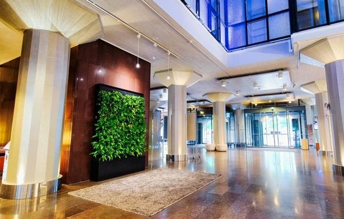 Decorate the Smart Green Wall of Naava's workspace and home - Luxestuff