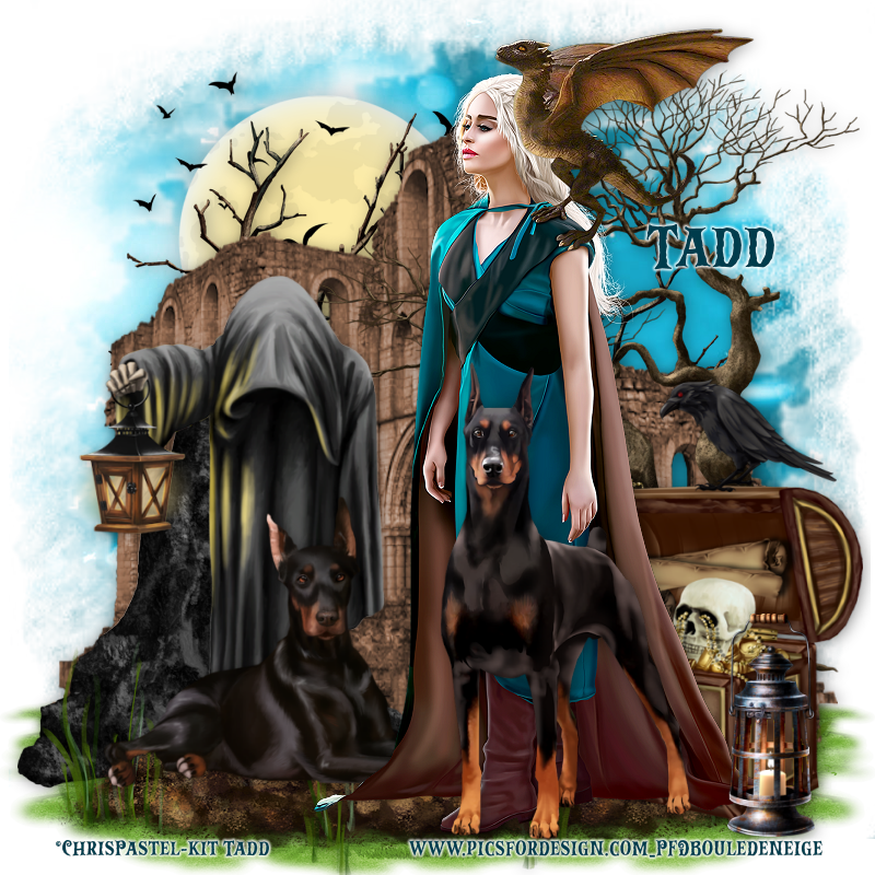 BOULEDENEIGE ET SES CT: TADD