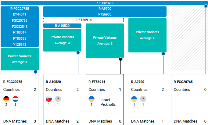 All My Foreparents: 2019