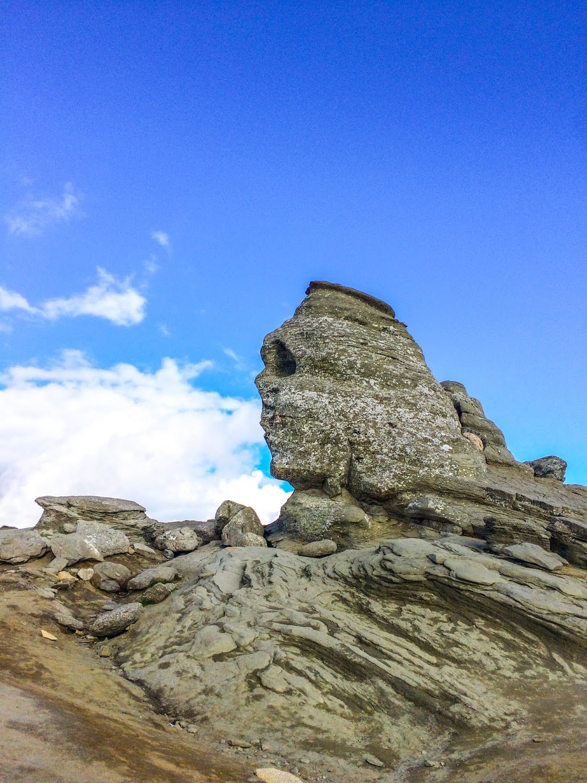 ALPINIADA: Piatra Arsă - Crucea Eroilor - Vârful Omu