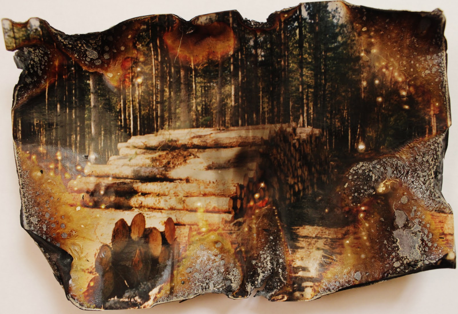 Emma Rose Maytum: My Online Journal of Art: Burnt Photographs