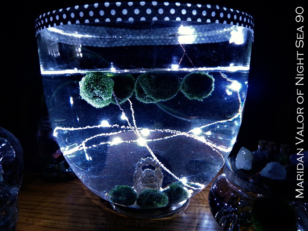 Night Sea: Fairy Lights, Buddha and Secret Project Revealed!