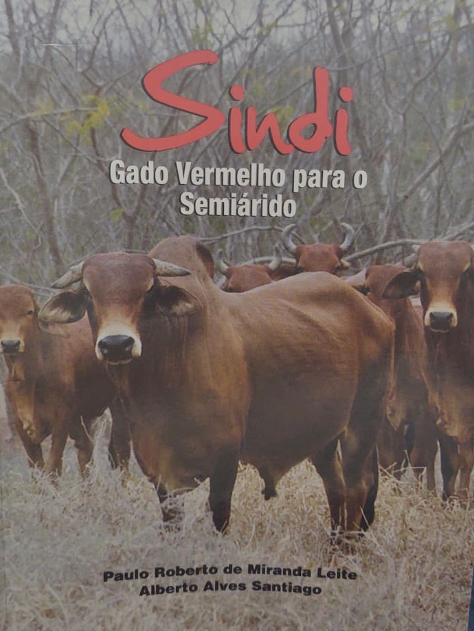 Bahia Red Sindhi: agosto 2020