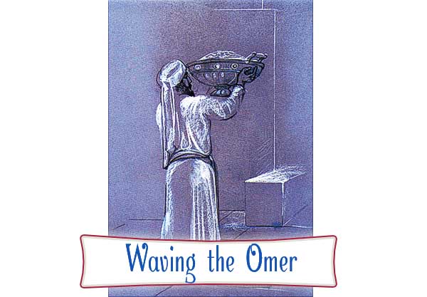 Between the Ears: July 2019