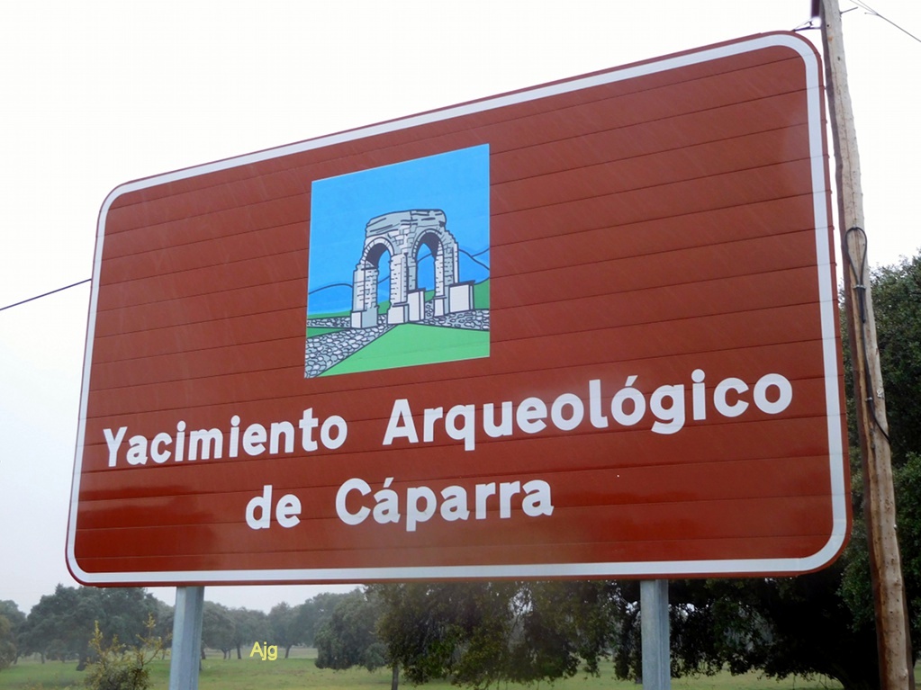 En Busca del Hada Azul: La Ciudad Romana de Caparra