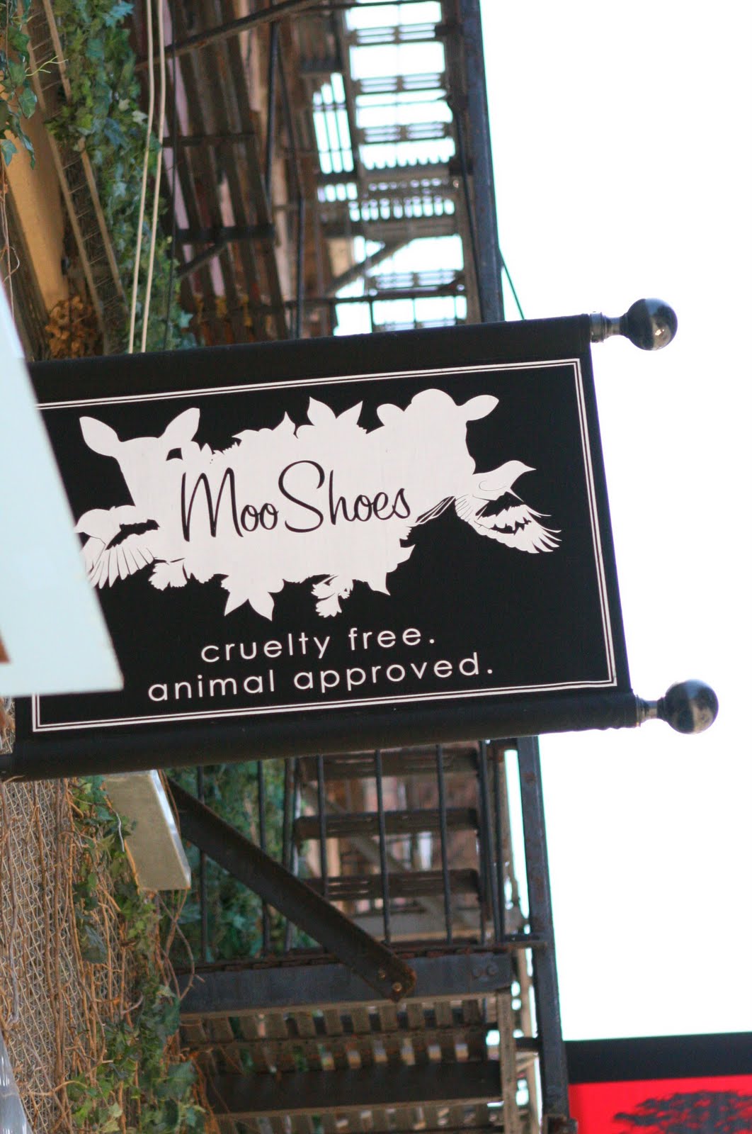 The Ordinary Vegetarian: NYC Day 1: Dim Sum, Donuts, MooShoes, and ...