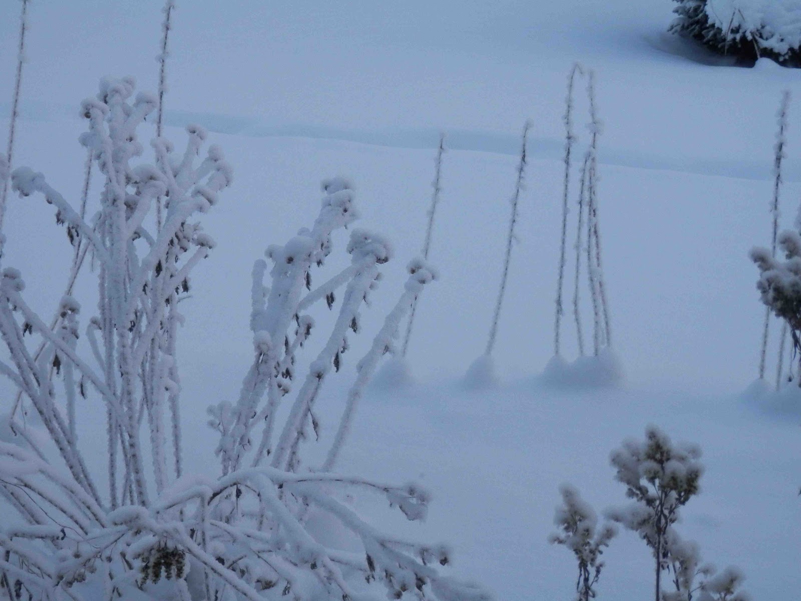 Nyt ois aikaa...: Pakkanen