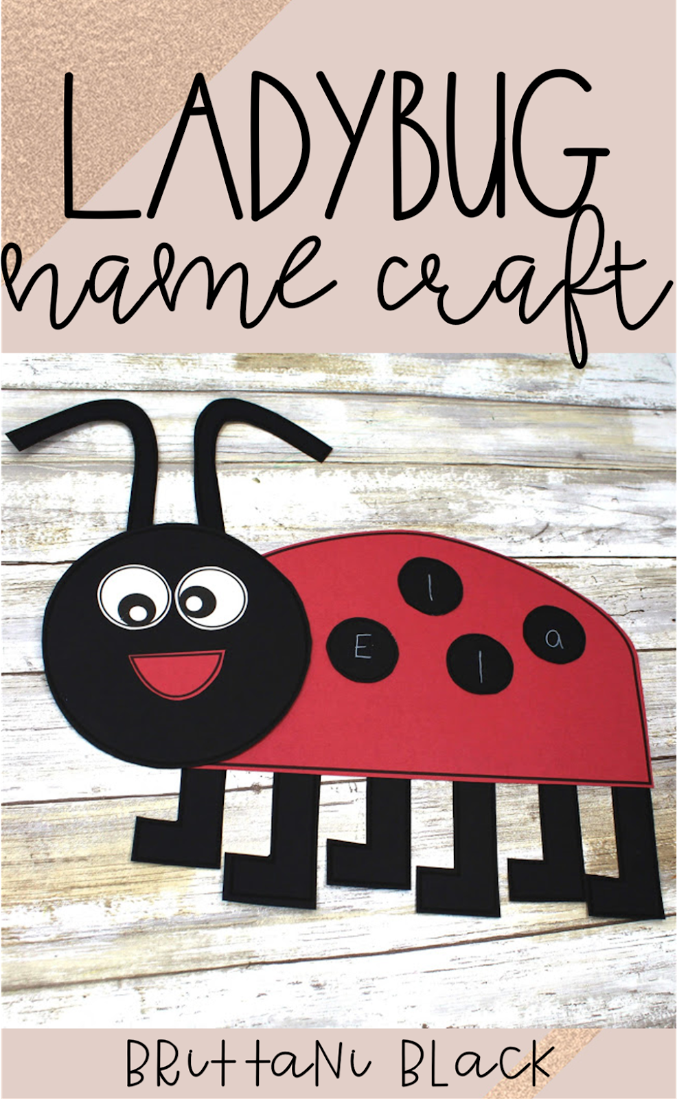 Ladybug Bulletin Board | Mrs. Black's Bees