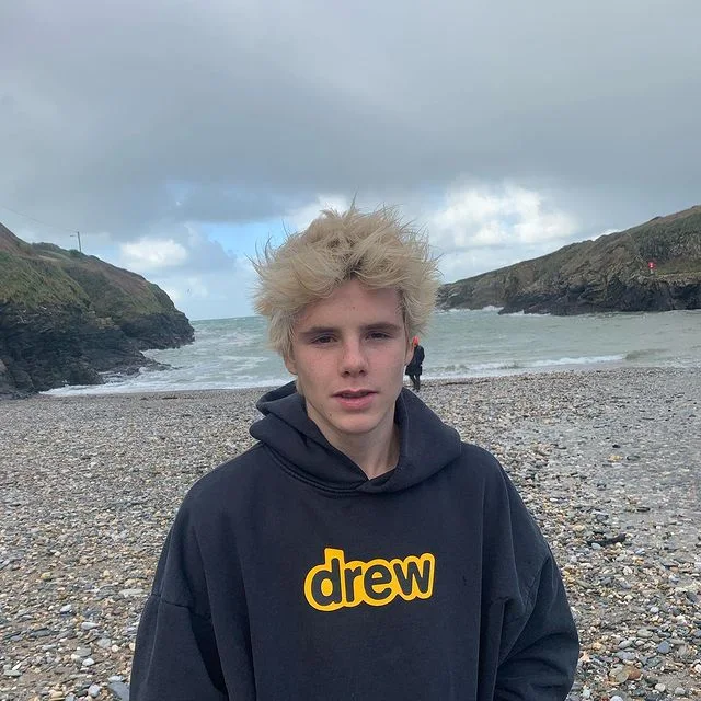 Cruz Beckham (Instagram Star) Wiki, Bio, Height, Weight, Age, Parents ...