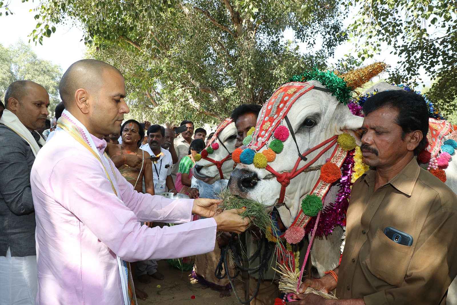 Kanuma Festival Observed with Religious Fervour in Sri Venkateswara ...